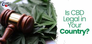 Global CBD Legality - A Country-by-Country Guide